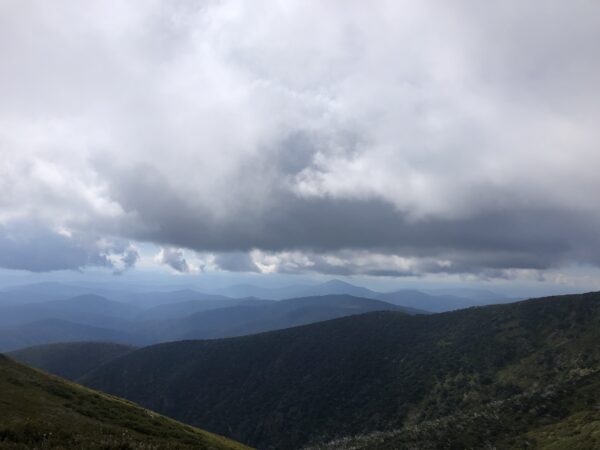 Mt Bogong: A guide to summiting Victoria's highest Peak