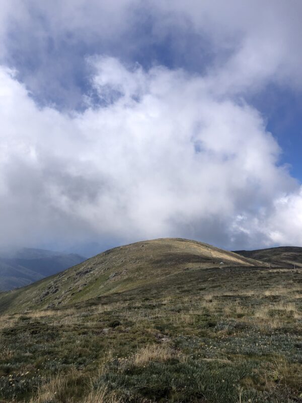 Mt Bogong: A guide to summiting Victoria's highest Peak