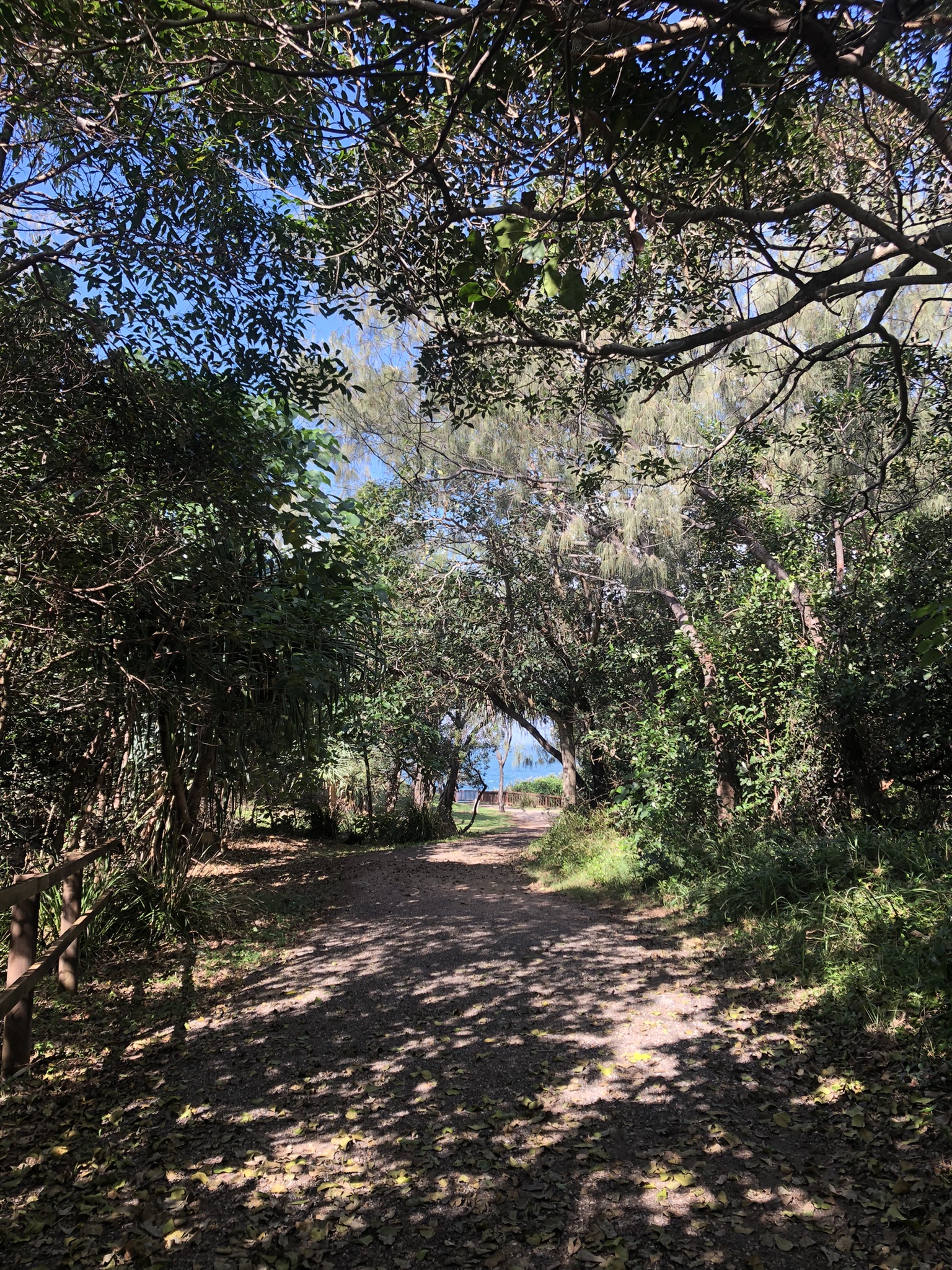The ultimate travel guide to North Stradbroke Island in Queensland!