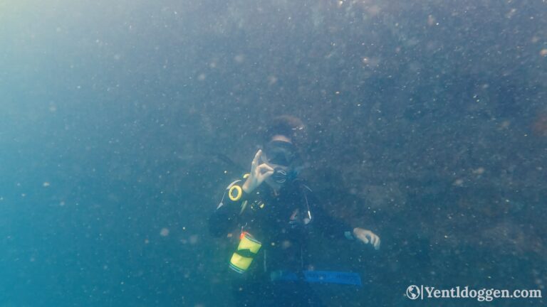 Diving: The complete guide to getting your scuba dive certification!