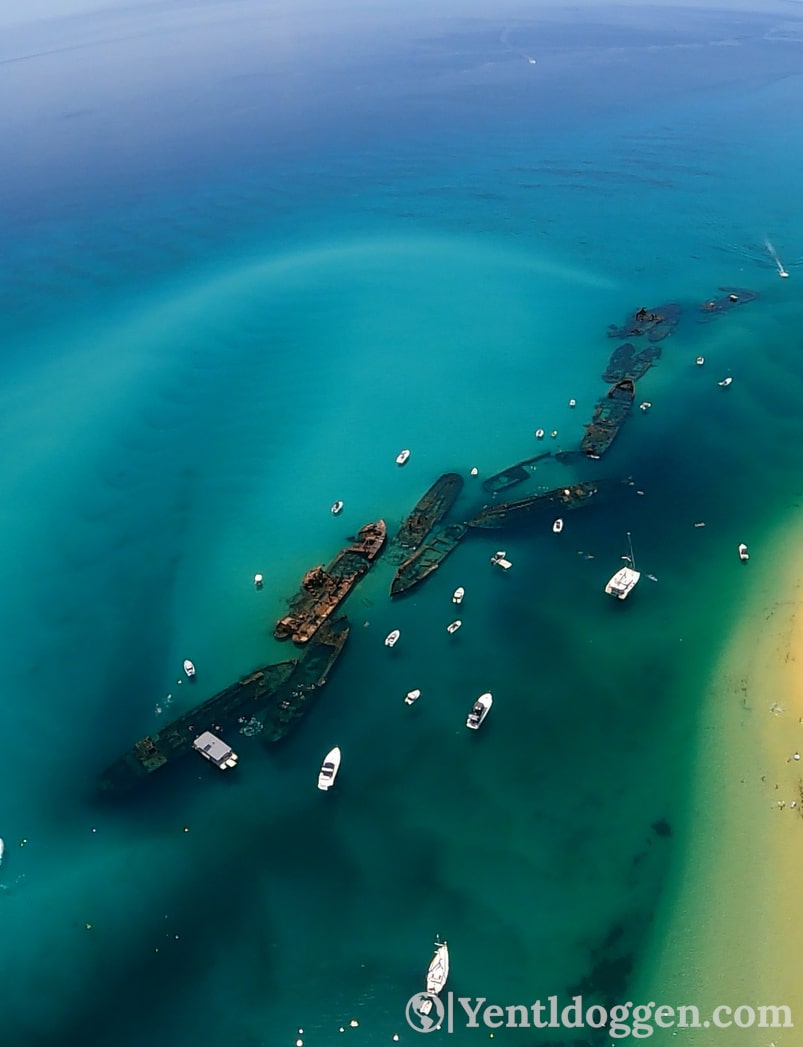 Snorkelling the Tangalooma Shipwrecks: A Comprehensive Guide