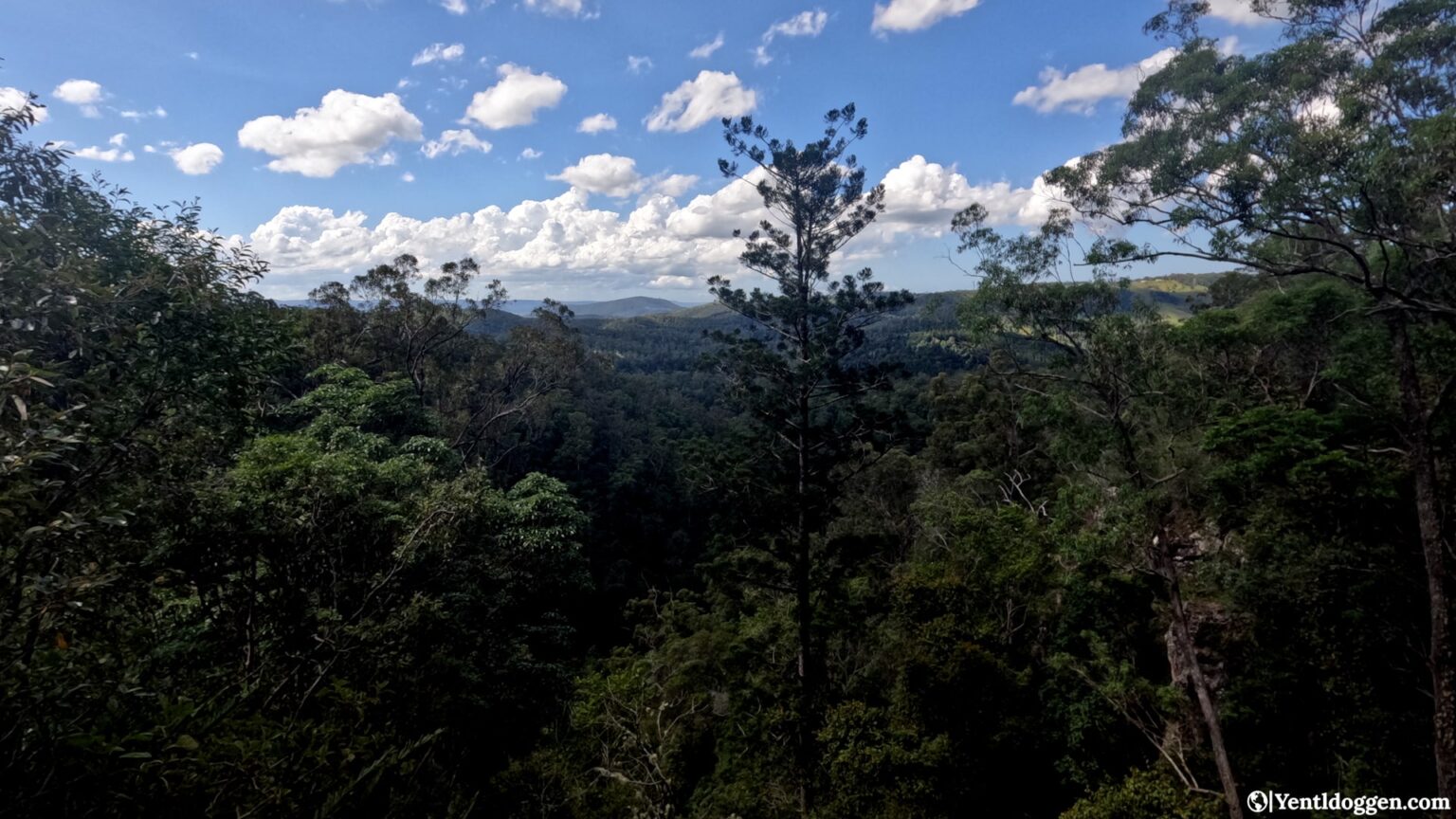 The Complete Travel Guide to D'Aguilar National Park! Queensland