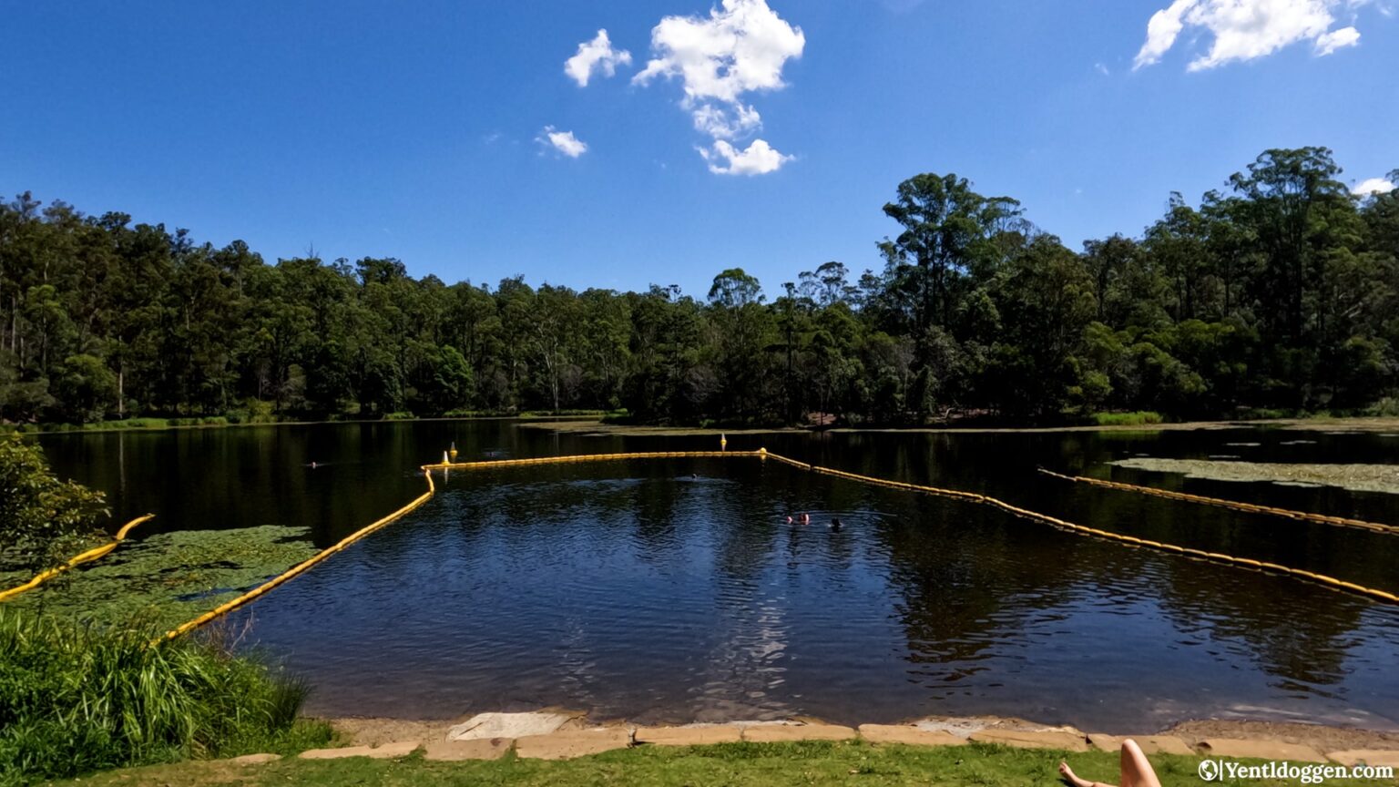 The Complete Travel Guide to D'Aguilar National Park! Queensland