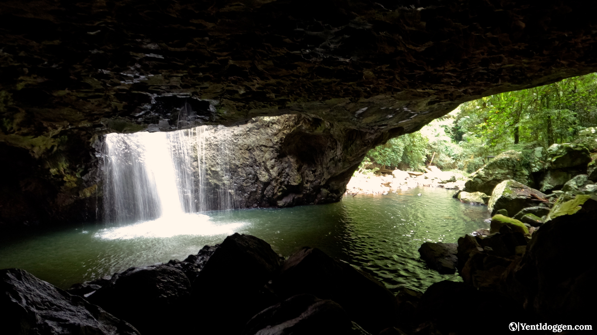 Exploring the Natural Wonders of Springbrook National Park!
